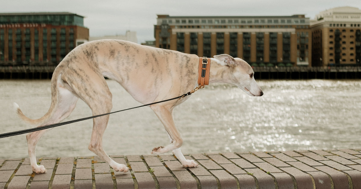 Double Loop Collar – Twinka Où